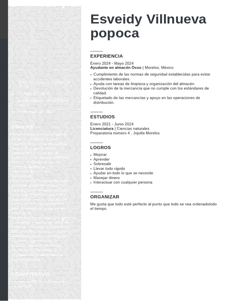 CV 1 | PDF | Business | Economias