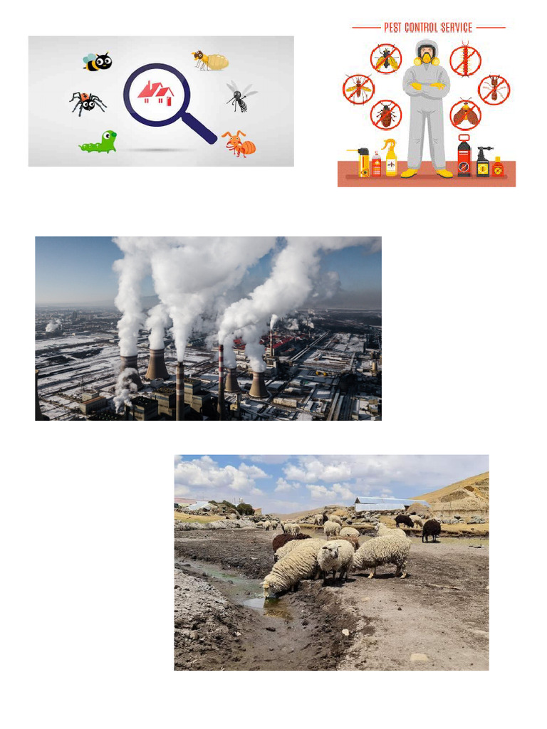 Documento Lupe | PDF