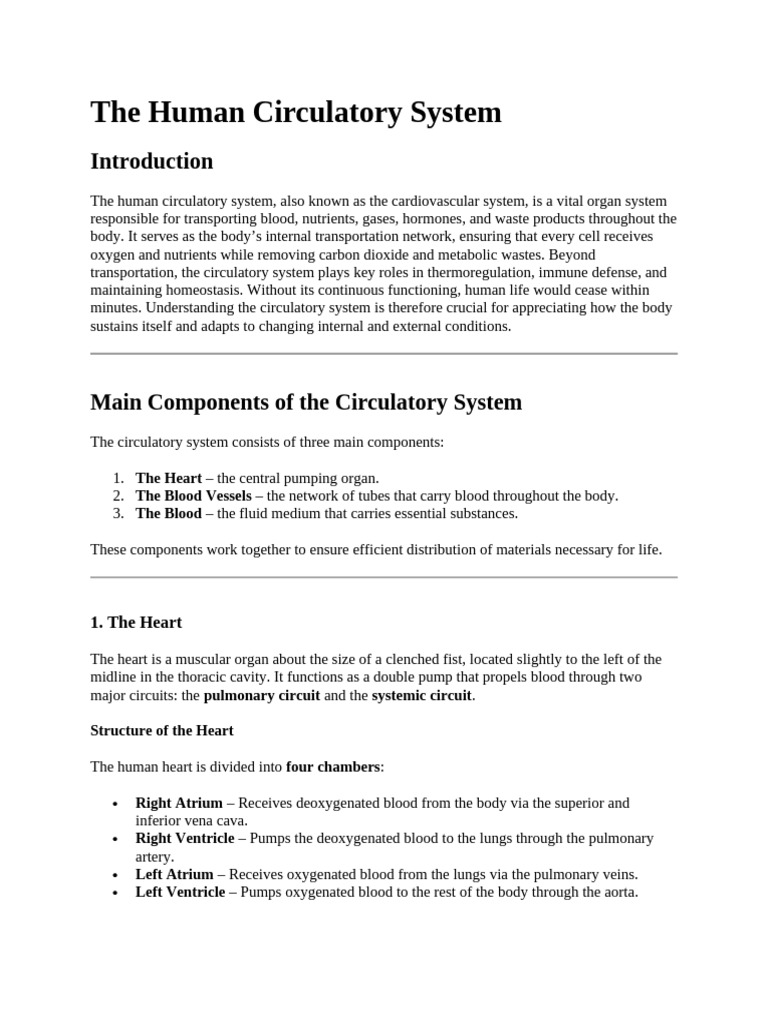 Overview of the Human Circulatory System | PDF | Heart | Heart Valve