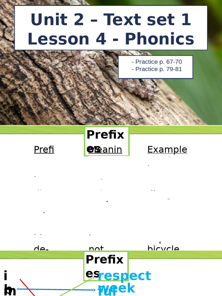 Unit 2 - Text Set 1 - Lesson 4 Phonics | PDF