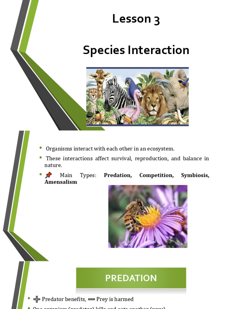 Species Interaction | PDF