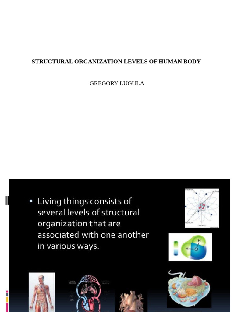 2.levels of Structural Organization | PDF