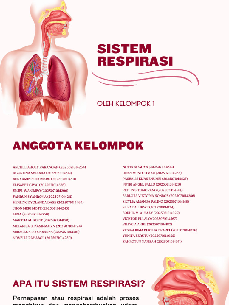 Sistem Respirasi Kelompok 1 - Biomedik 1 | PDF