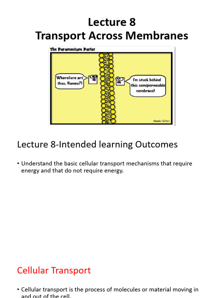 Lecture 8 - Transport Across Membranes (This Must Be Lec 7) | PDF | Ion ...