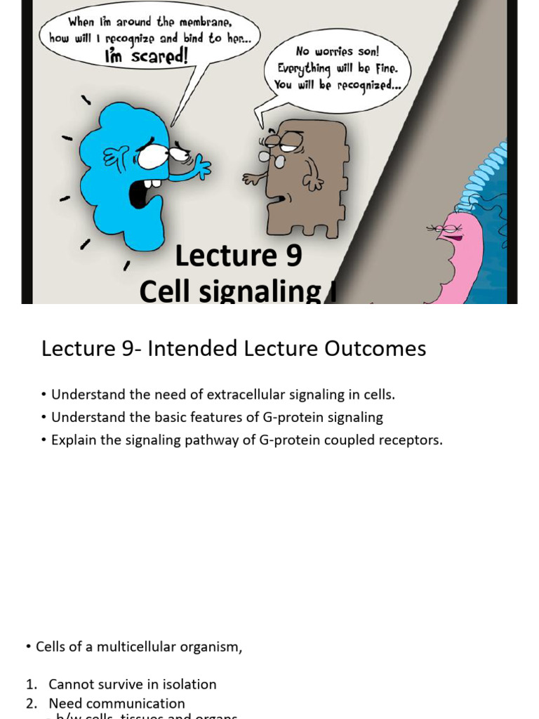 Lecture 9- Cell Signaling I This must be lec 8 | PDF | Cell Signaling ...