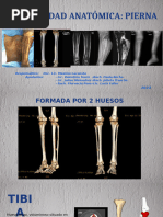 Anatomía del Peroné en la Pierna | PDF | Sistema esquelético | Anatomía ...
