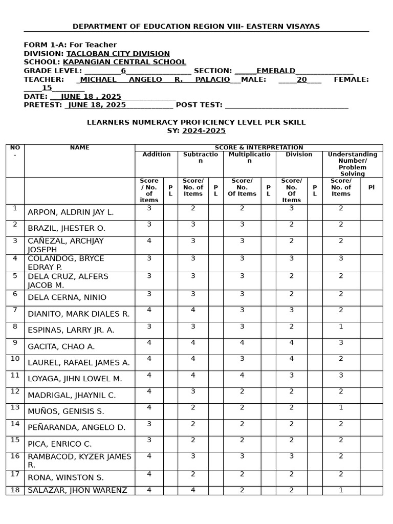 Numeracy Proficiency Report 2024-2025 | PDF | Reading (Process ...