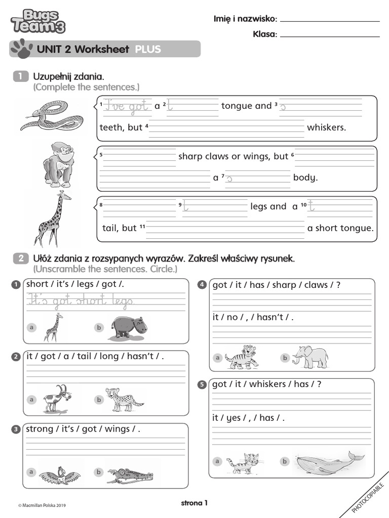 BugsTeam3 Unit 2 PB Worksheet Plus | PDF