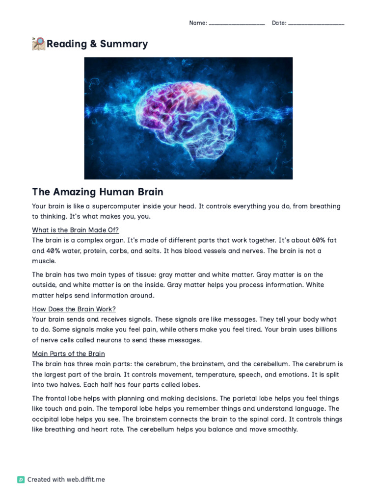 The Amazing Human Brain | PDF | Brain | Human Brain