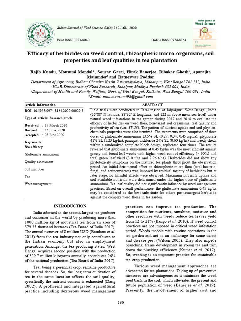 Herbicide Efficacy in Tea Weed Management | PDF | Herbicide | Weed
