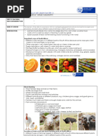 2025 Social Sciences Grade 4-6 Poa | PDF | Geography | Southern Africa