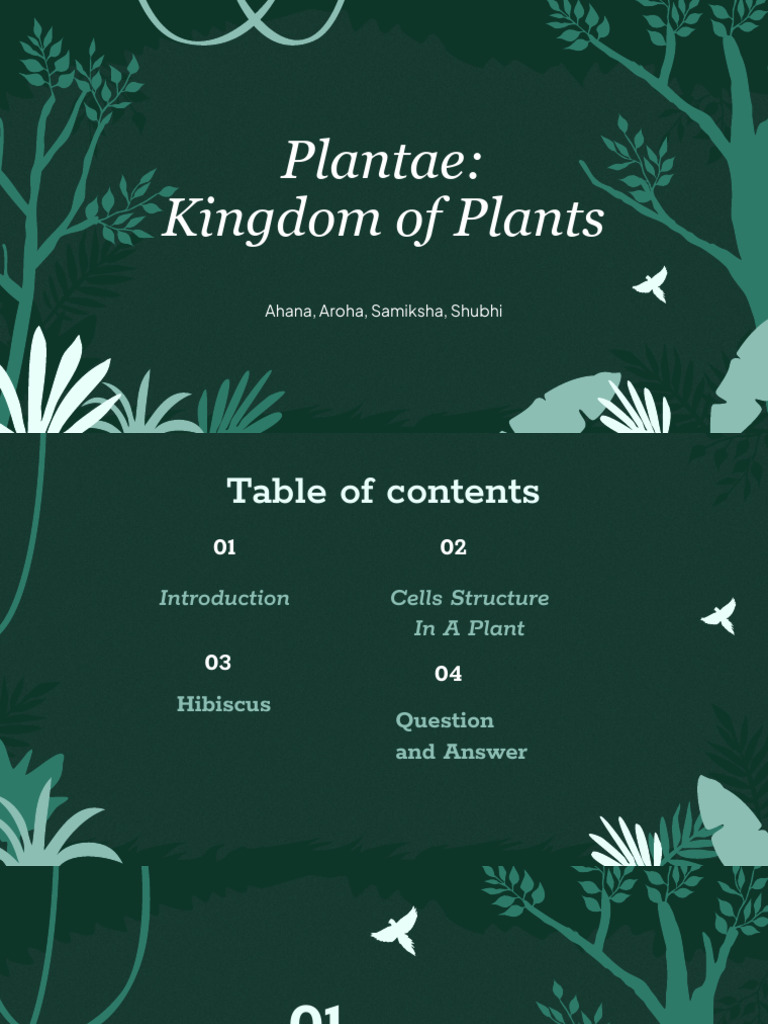 Plantae - Kingdom of Plants | PDF | Cell (Biology) | Biology