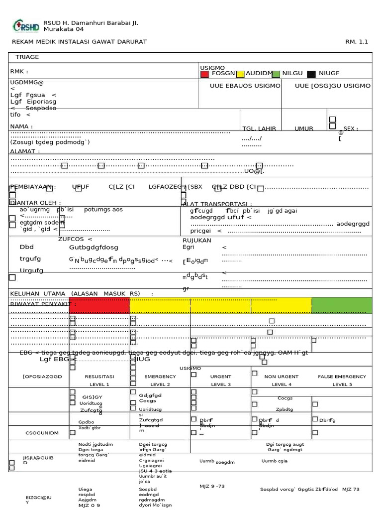 PDF Lembar Triase Baru - Compress | PDF