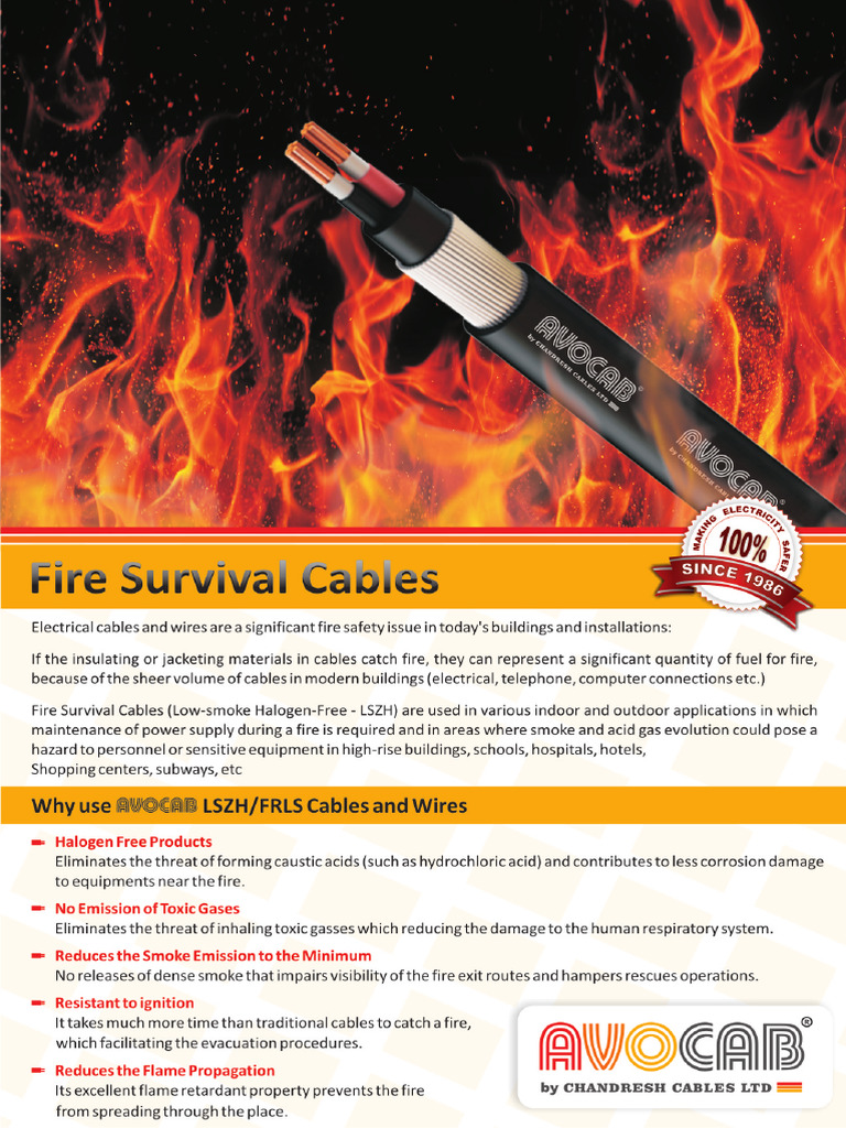 Fire Survival | PDF