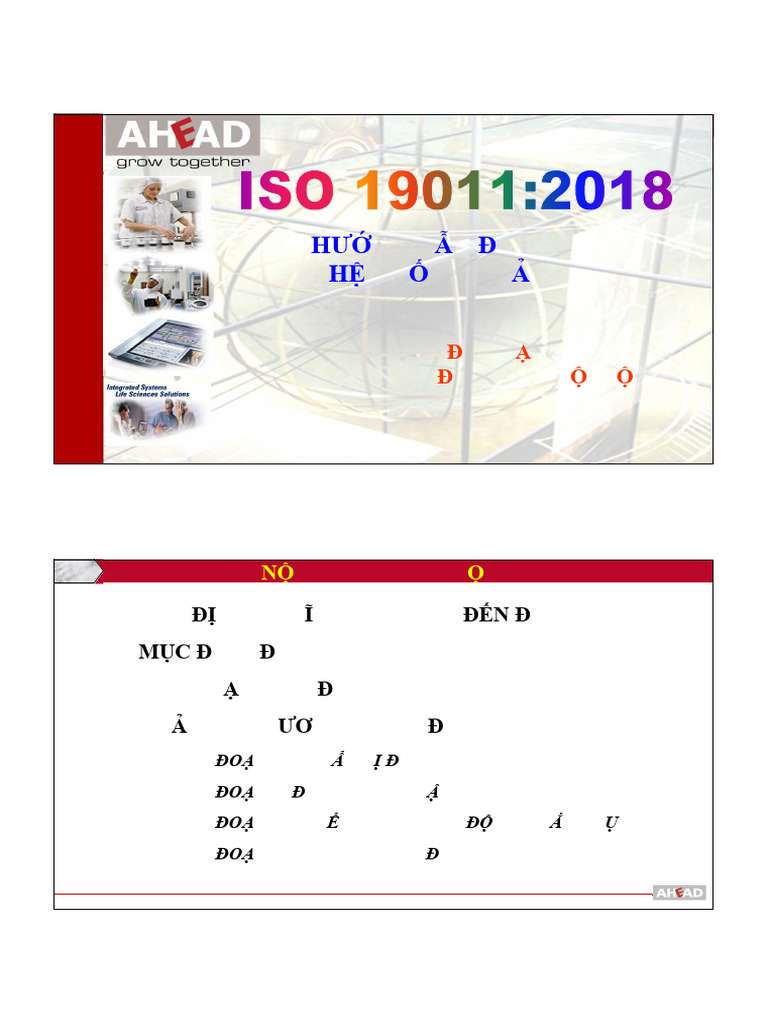 ISO 19011 Internal Auditor Training Su Dung Cho Phuong Phap Hoc Tap | PDF