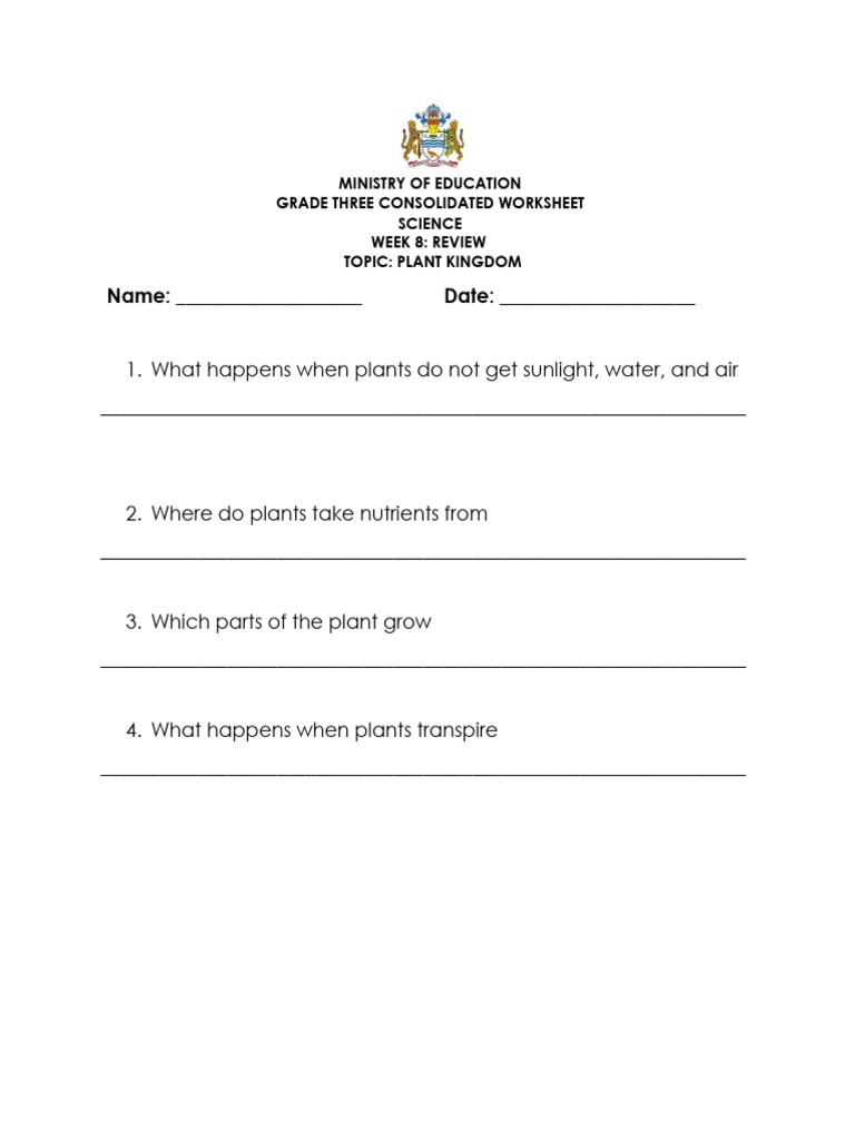 Grade 3 Science Week 8 Review - 2022 - Consolidated Worksheet | PDF