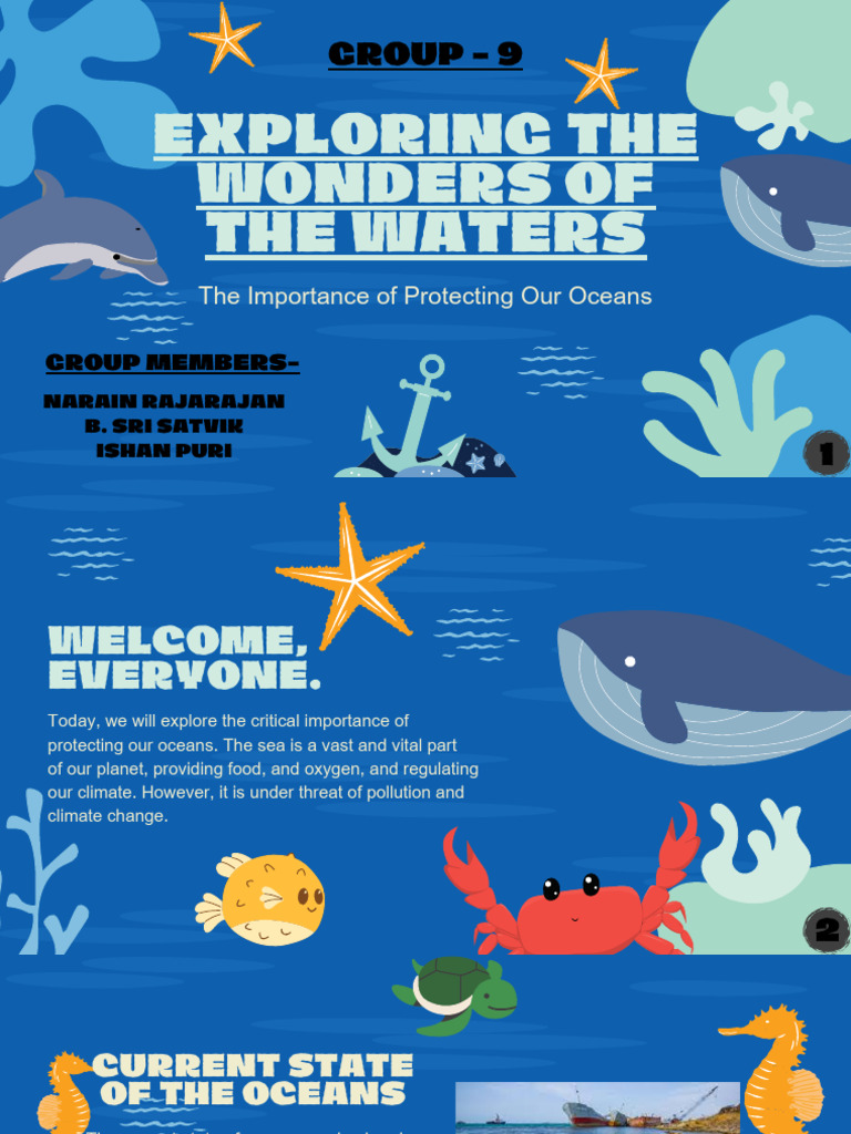 Protecting Our Oceans: Key Insights | PDF | Water Pollution | Oceans