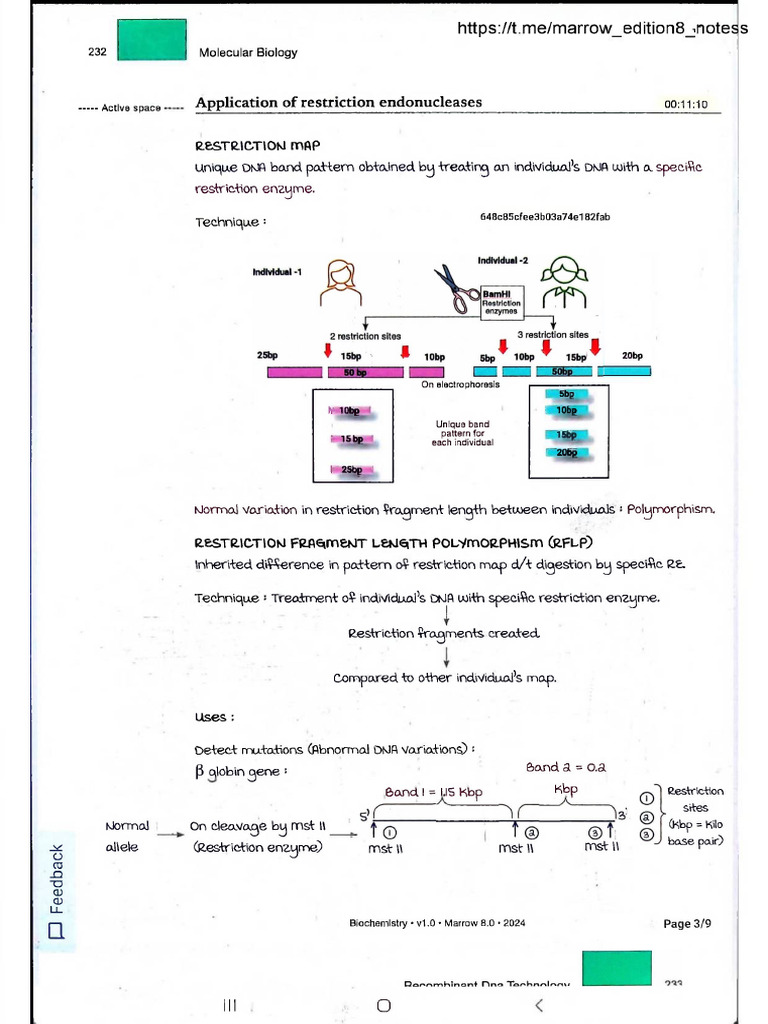3) Biochemistry Marrow E8 1 - 250928 - 172306 1 | PDF | Restriction ...