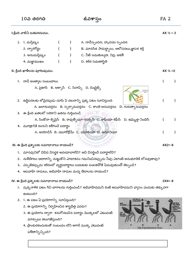 10th TM FA 2 BS | PDF