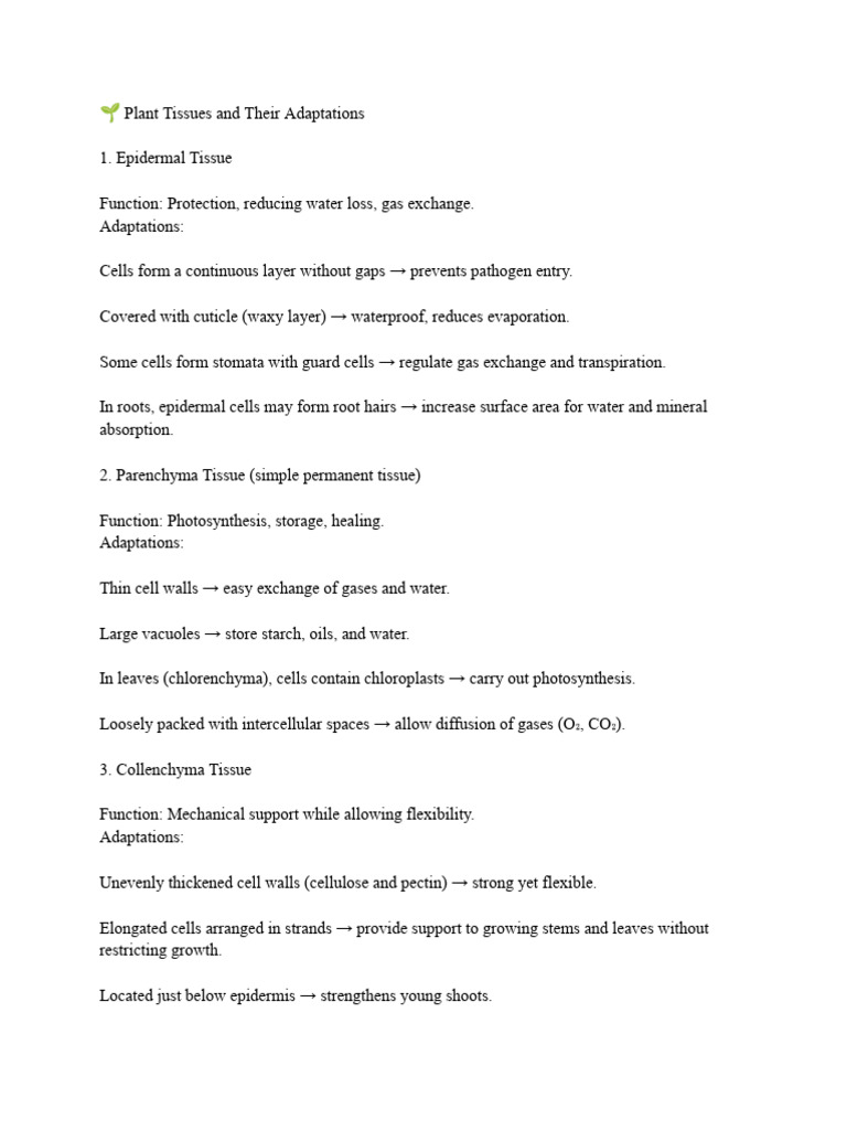 Biology Animal Tissues and Plant Tissues Adaptations | PDF | Tissue ...
