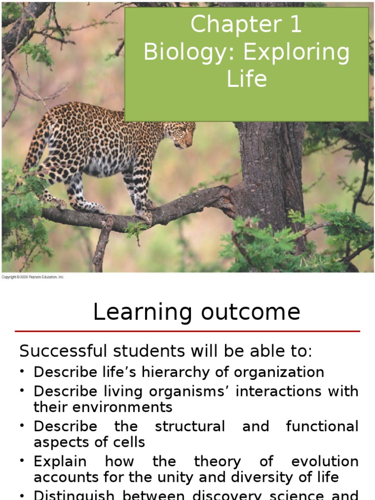 Biology: Exploring Life | Download Free PDF | Cell (Biology) | Organisms