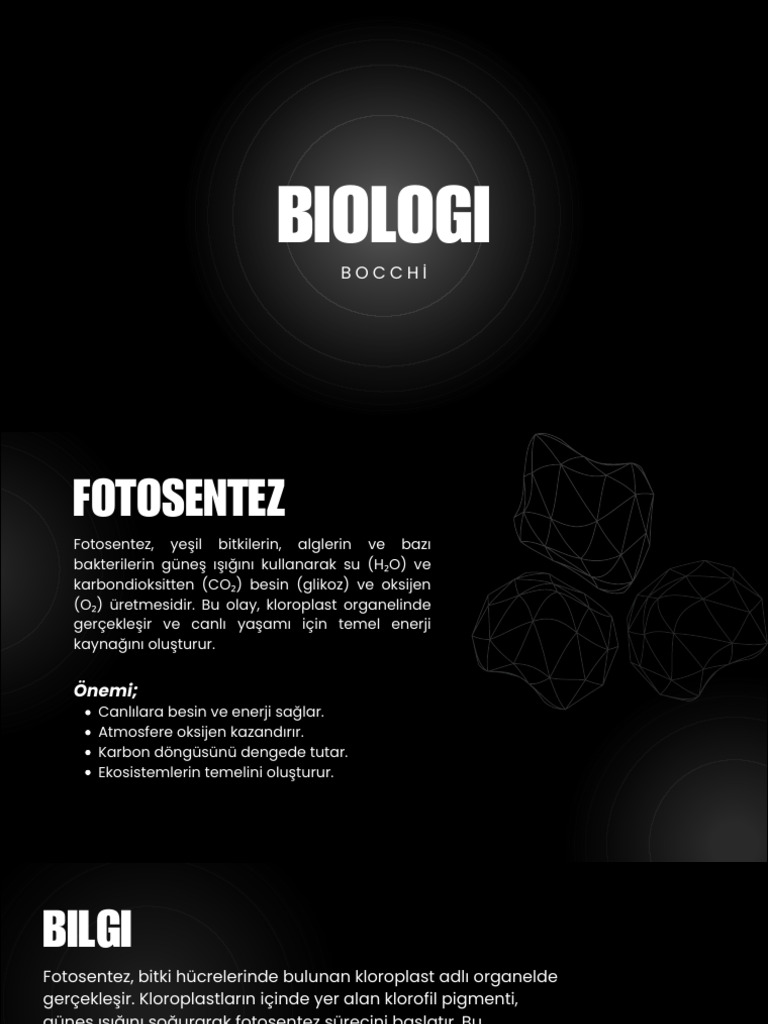 Bocchi The Rock | PDF