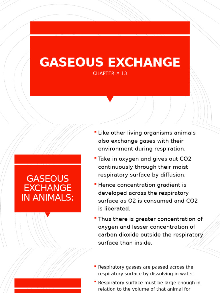 Gaseous Exchange (Autosaved) | PDF | Respiratory System | Respiratory Tract