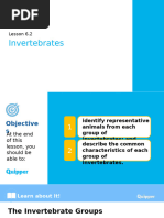 Invertebrate Classification Overview | PDF | Invertebrate | Biology