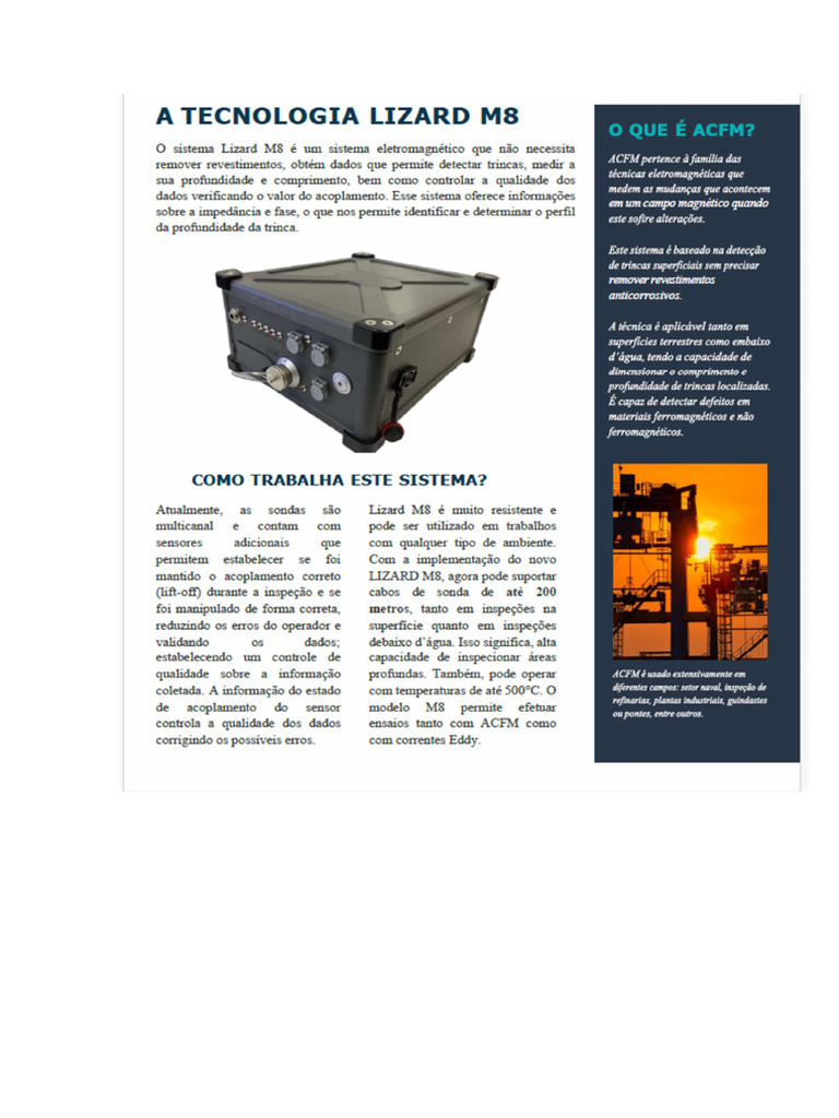 Lizard ACFM | PDF