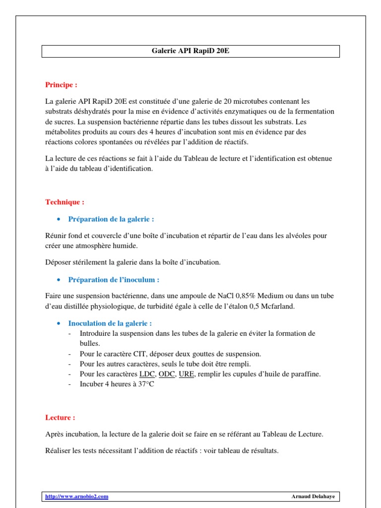 Galerie API Rapid 20e