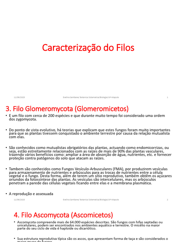 Caracterização do Filo Ascomycota | PDF | Fungo | Micologia