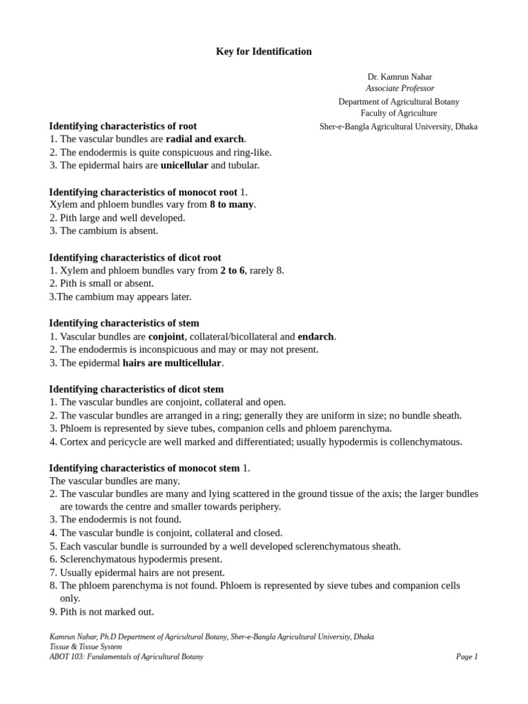 04.ABOT 103 Indentification Keys | PDF | Plant Stem | Tissue (Biology)