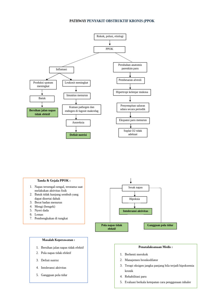 Pathway Ppok | PDF