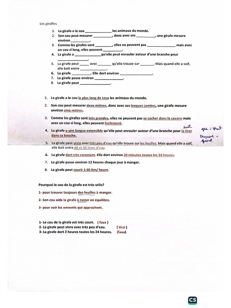 Les Giraffes Et Les Zebres French Notes | PDF