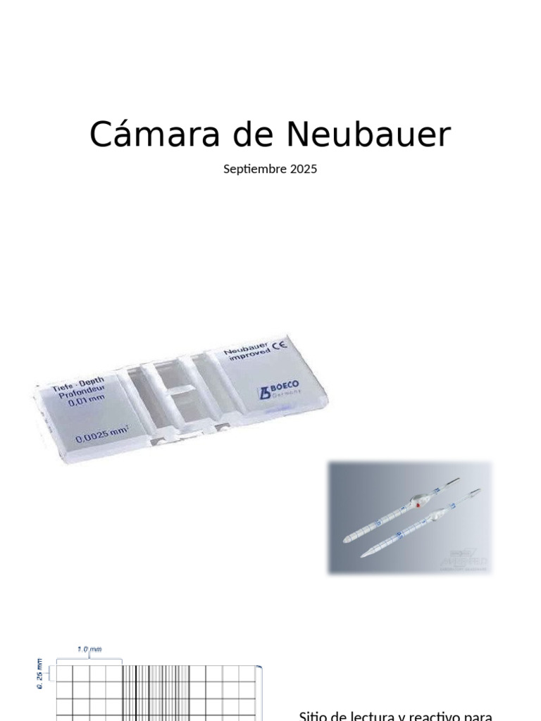 Cámara de Neubauer IX | PDF