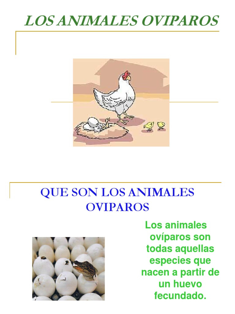 Los Animales Oviparos