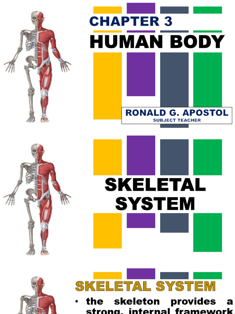 PATHFIT-1-CHAPTER-3-PPT | PDF | Anatomical Terms Of Motion | Human Anatomy
