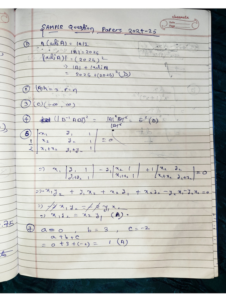 Math HHW Sample Paper (2024-25) | PDF