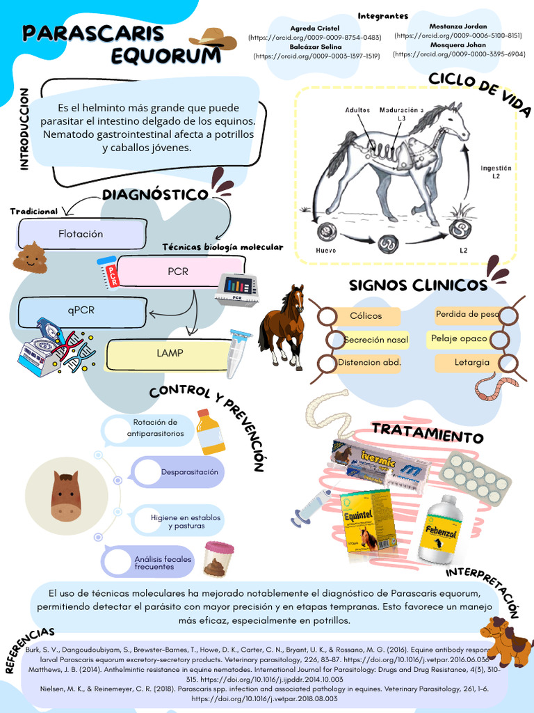Diagnóstico y control de Parascaris equorum | PDF | Biología