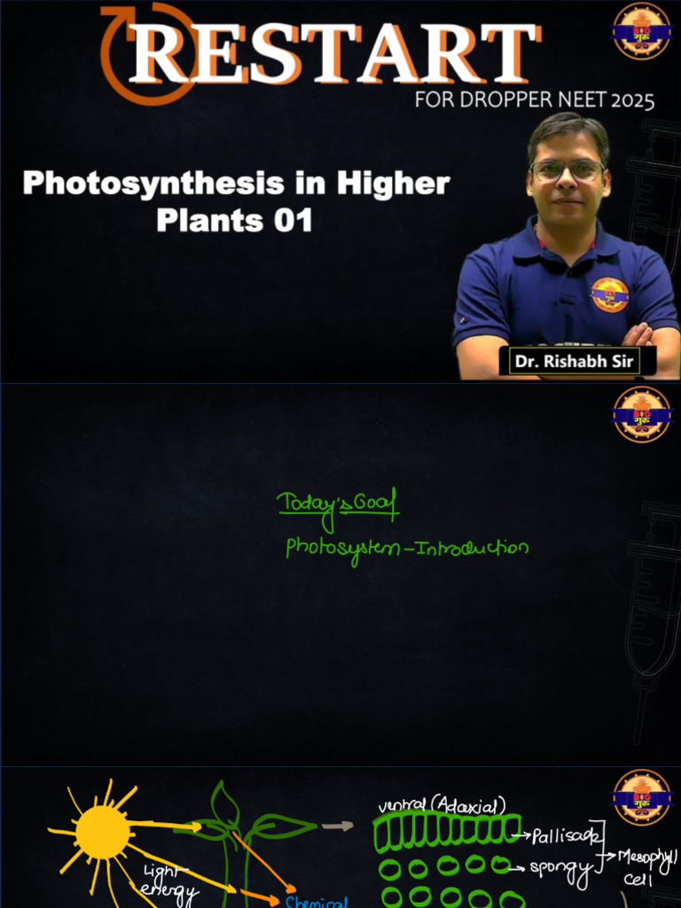 Photosynthesis 01 - Introduction | PDF
