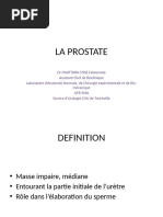 Anatomie de la Prostate chez l'Homme | PDF | Prostate | Anatomie