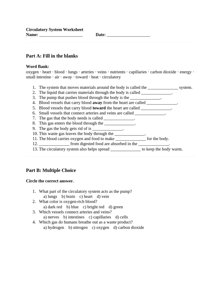 Circulatory System Fill-in Worksheet | PDF