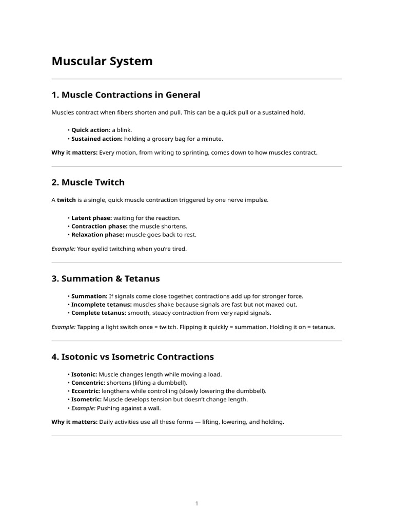 Muscular System - Part 2 (Beginner-Friendly Reviewer) | PDF | Muscle ...