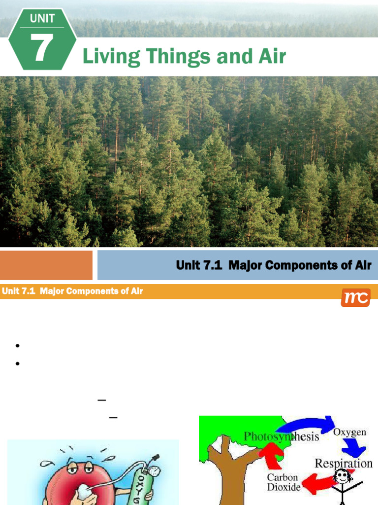 Major Components of Air Explained | PDF | Atmosphere Of Earth | Atmosphere