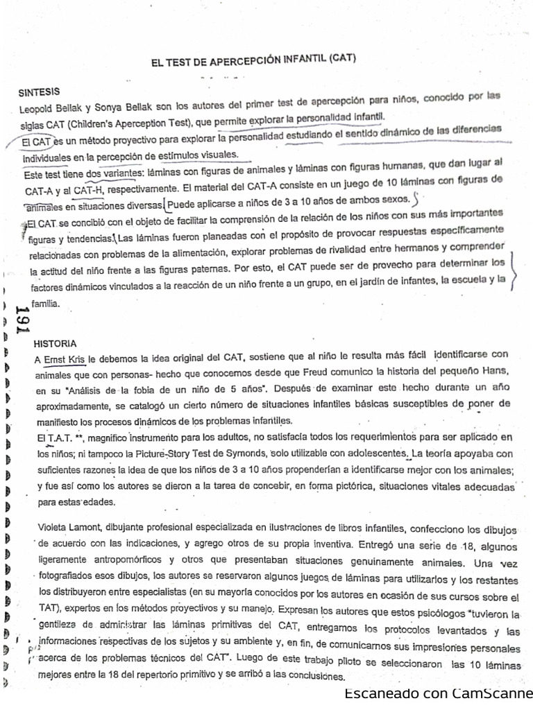 Test de Apercepción Infantil (.Cat) | PDF