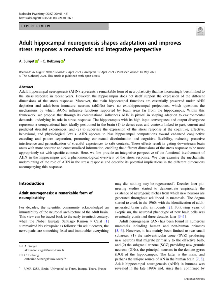 Adult Hippocampal Neurogenesis Shapes Adaptation and Improves | PDF ...