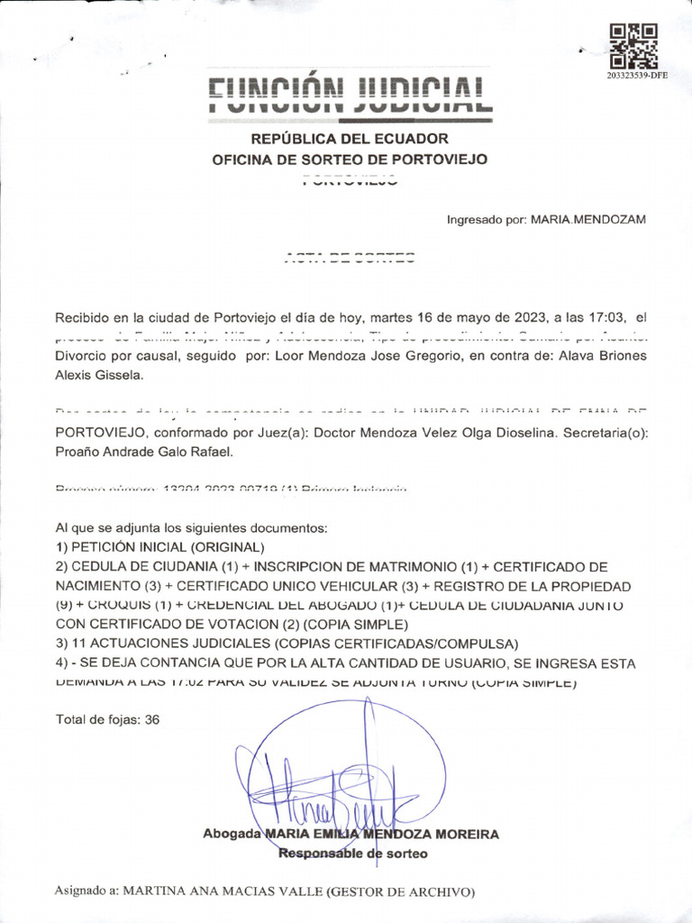 Demanda de Divorcio Por Causal | PDF