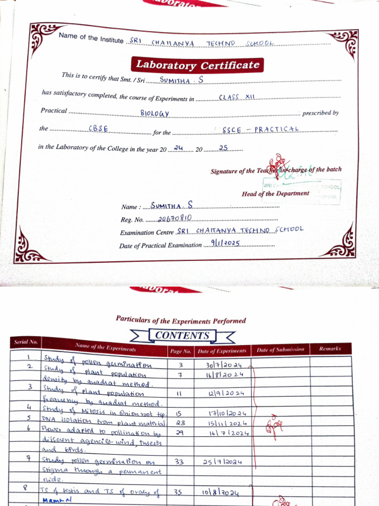Bio Record | PDF