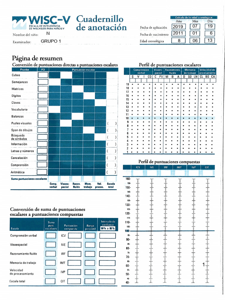 Protocolo WISC 5 | PDF
