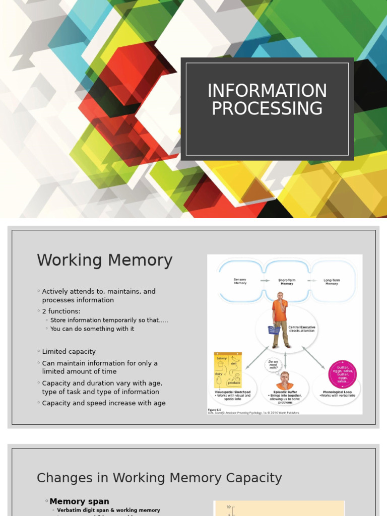 Information Processing 2024 | PDF | Working Memory | Memory